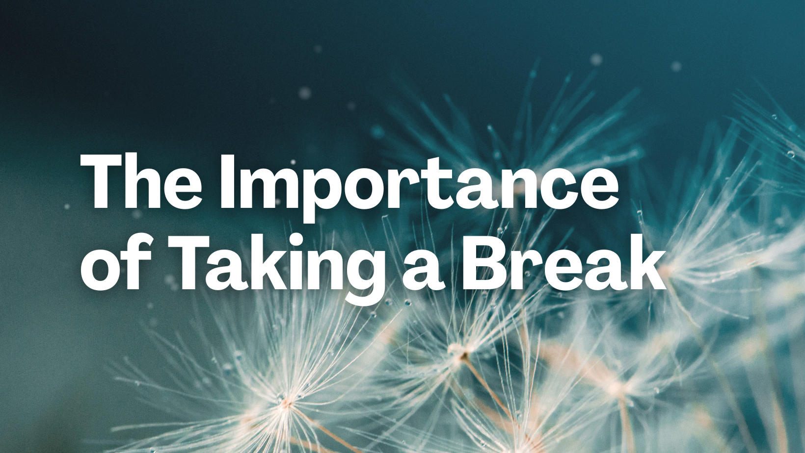 The Importance of Taking a Break - Melanie Hooyenga
