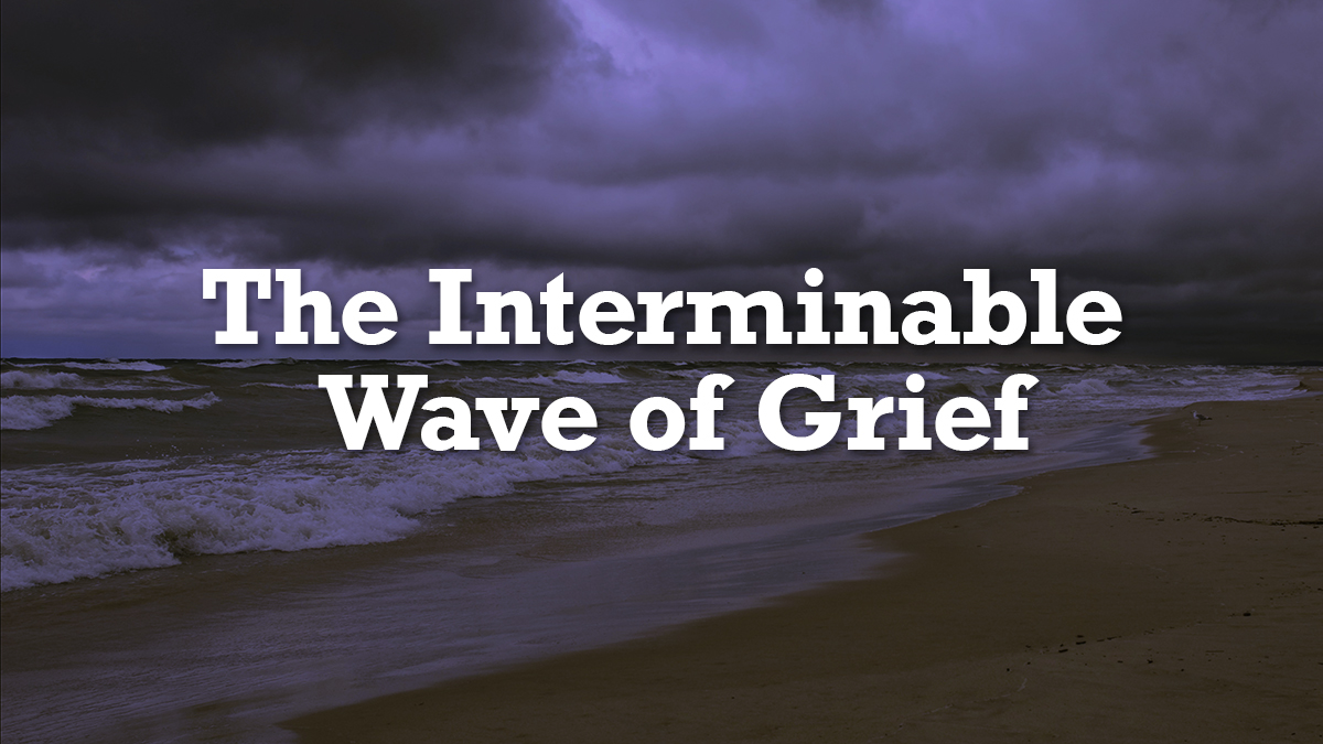 The Interminable Wave of Grief - Melanie Hooyenga